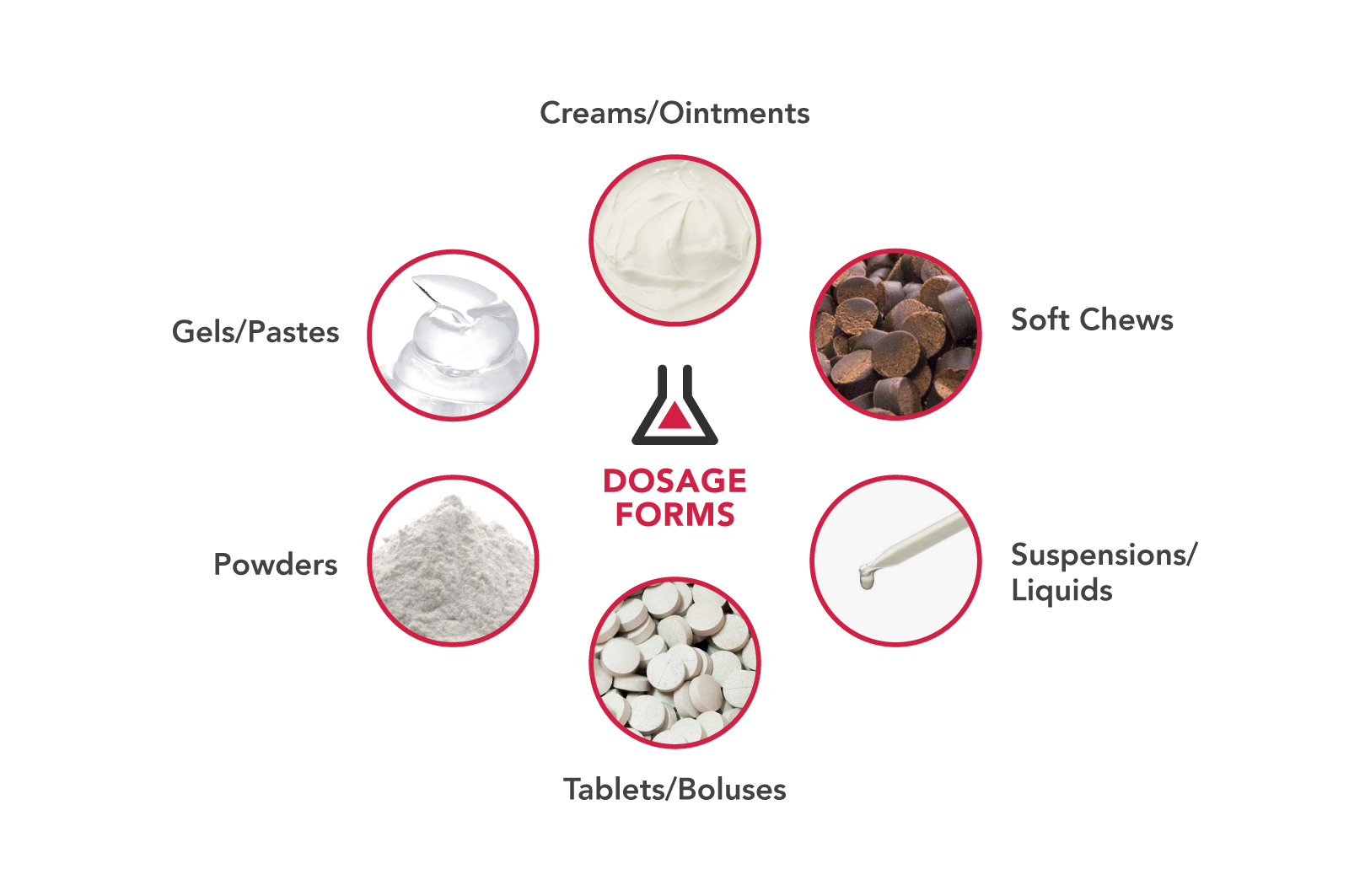Capabilities – Noble Pharma: A Turnkey Pharmaceutical CDMO